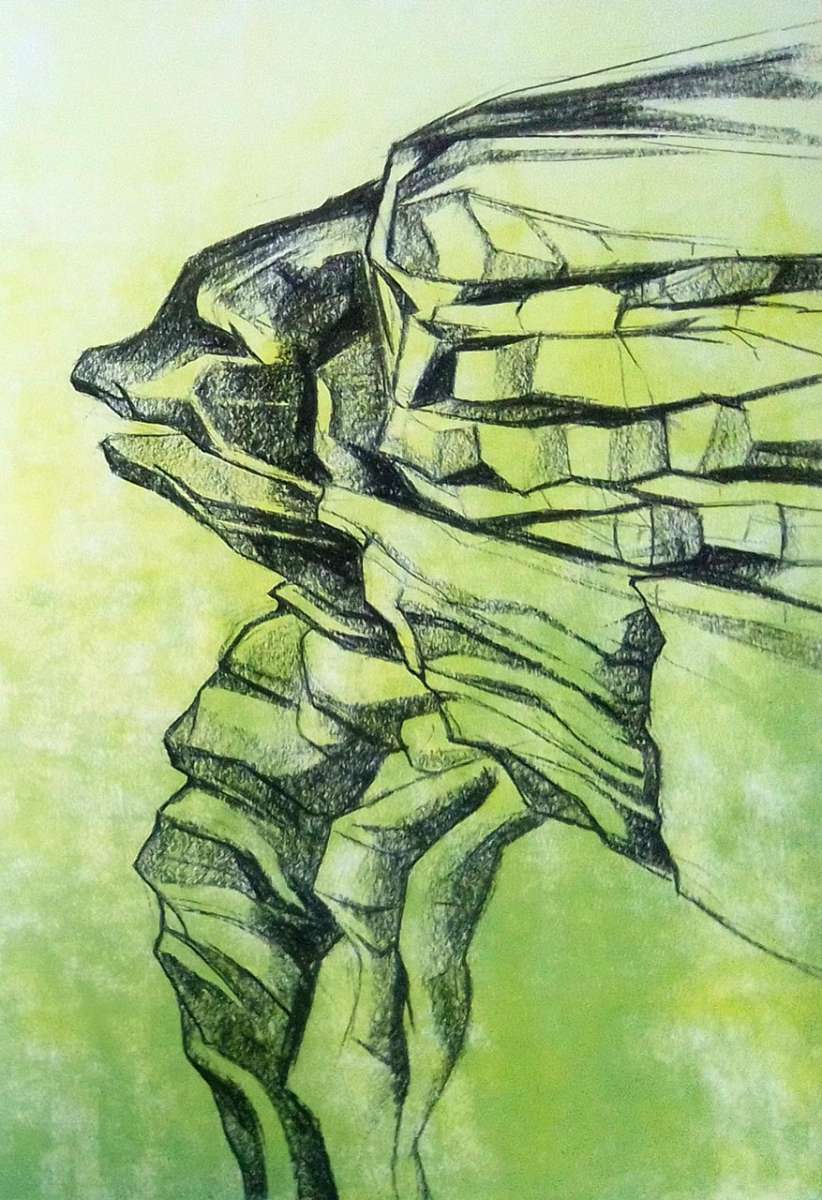 Anne Kern Zeichnung - Felskopf II | DDV Lokal